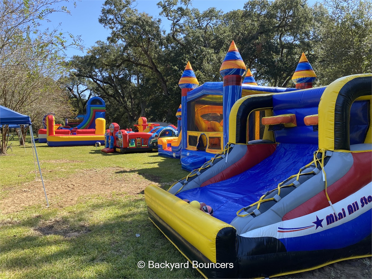 Mini All Stars - Inflatables and Event Rentals in WestLake, Lake ...