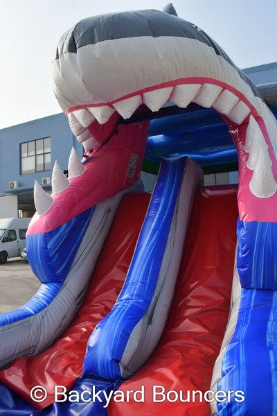 Shark Combo - Inflatables and Event Rentals in WestLake, Lake Charles ...